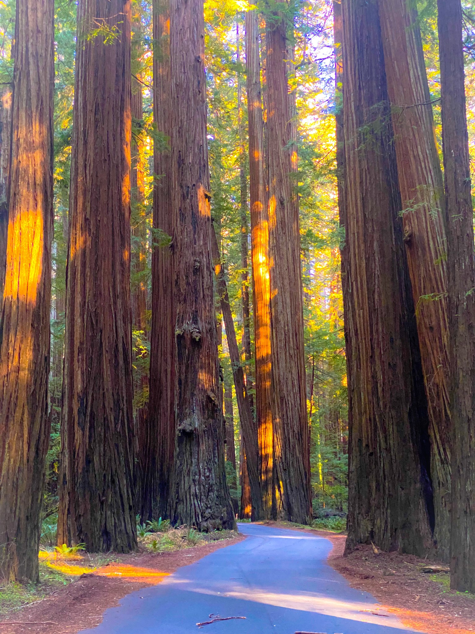 7 EPIC Spring Break Destinations – Road Trip Queen