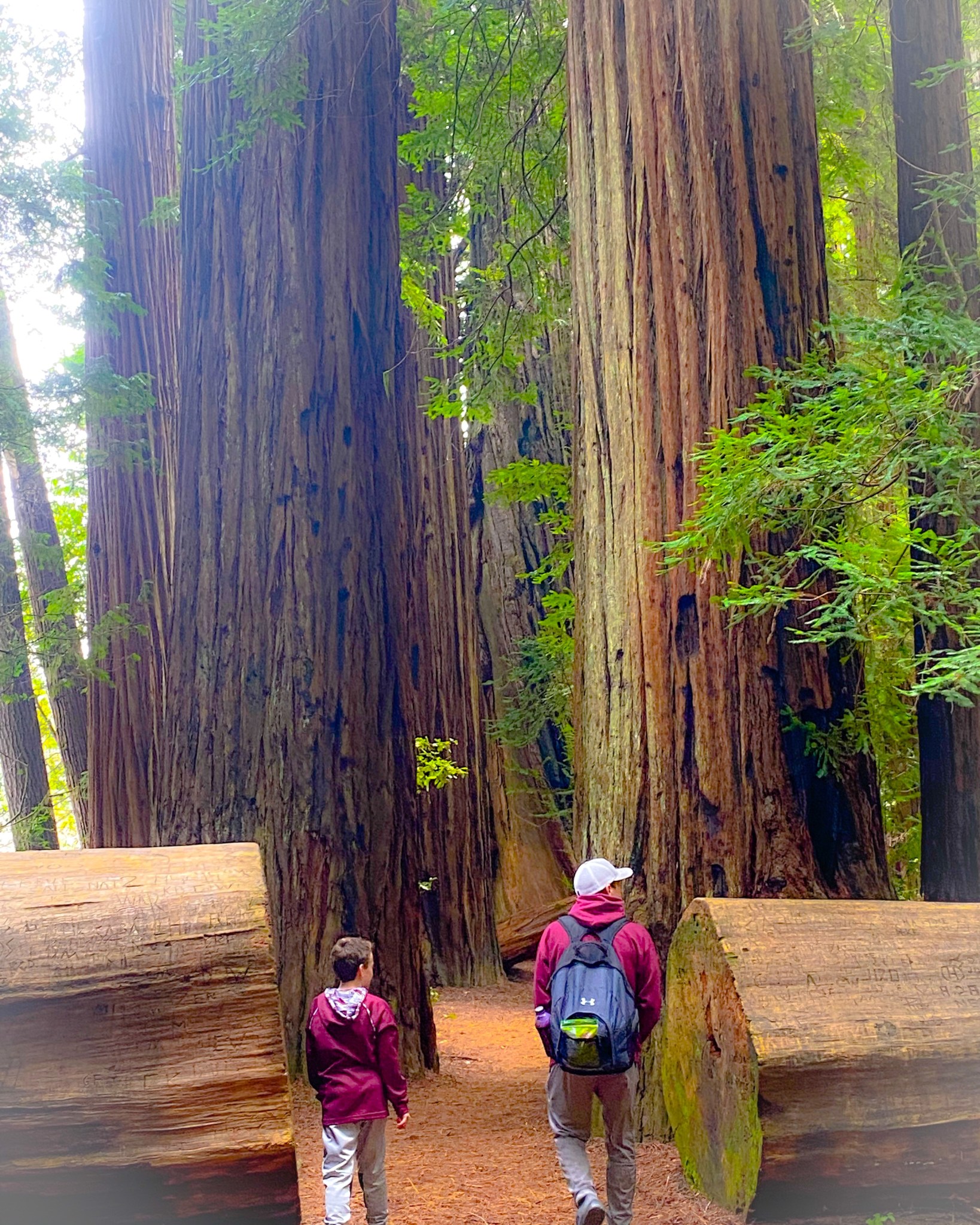 Everything You Need to Know About National Parks, Passes, and Programs ...