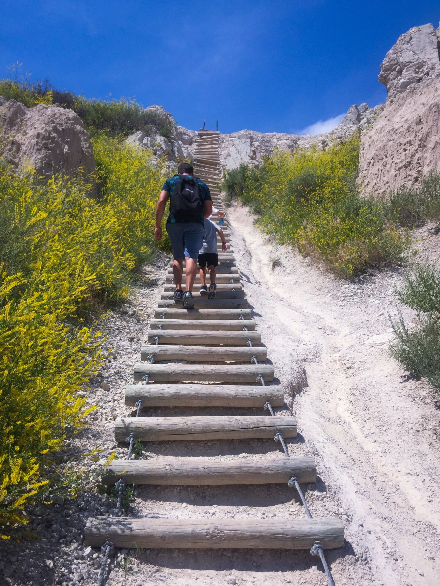 Hiking for Beginners: Tips for Finding Trails, What to Pack, and More ...