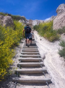 Hiking for Beginners: Tips for Finding Trails, What to Pack, and More ...