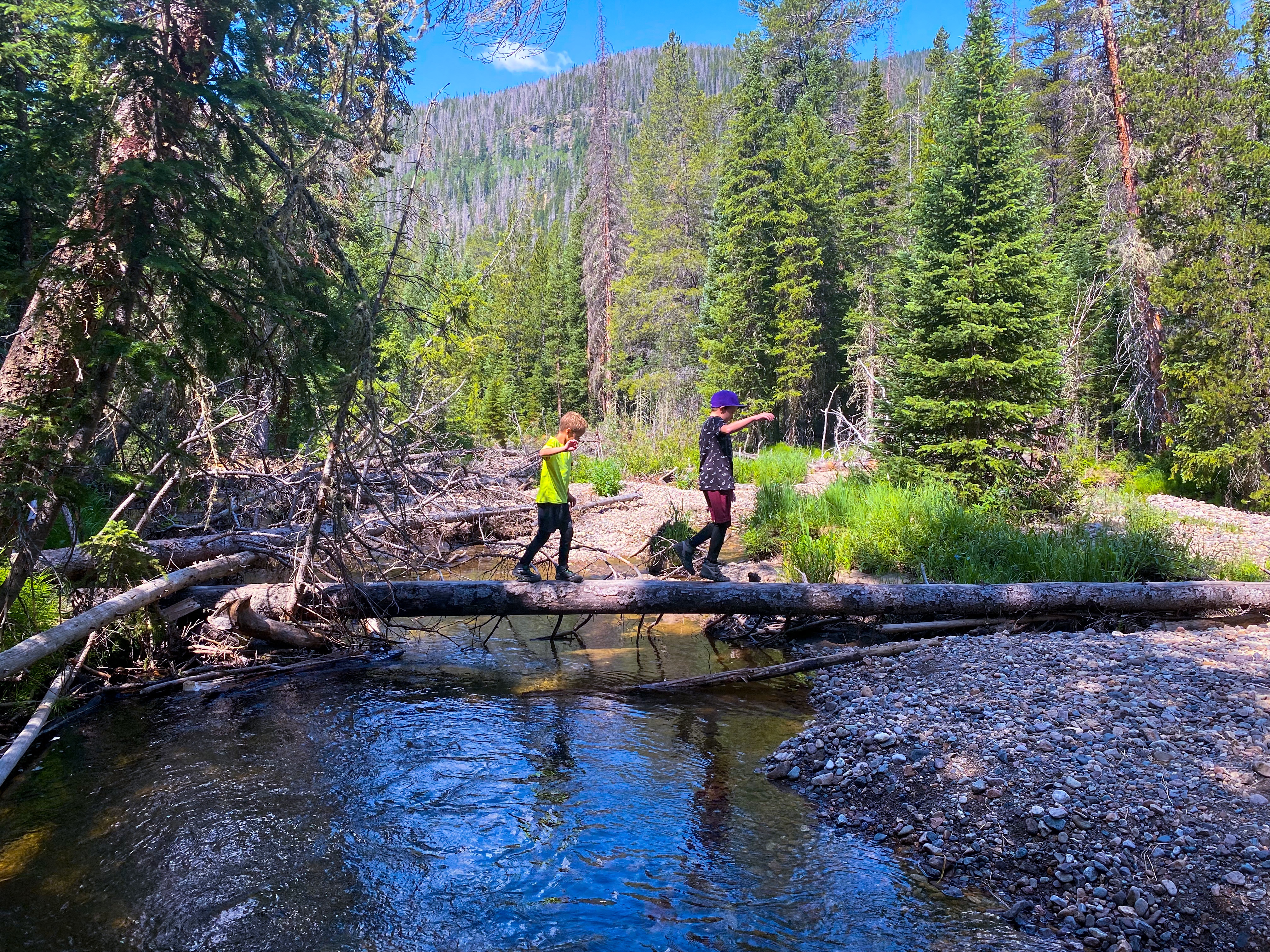 The BEST Hiking Trails in Rocky Mountain National Park for Kids – Road ...