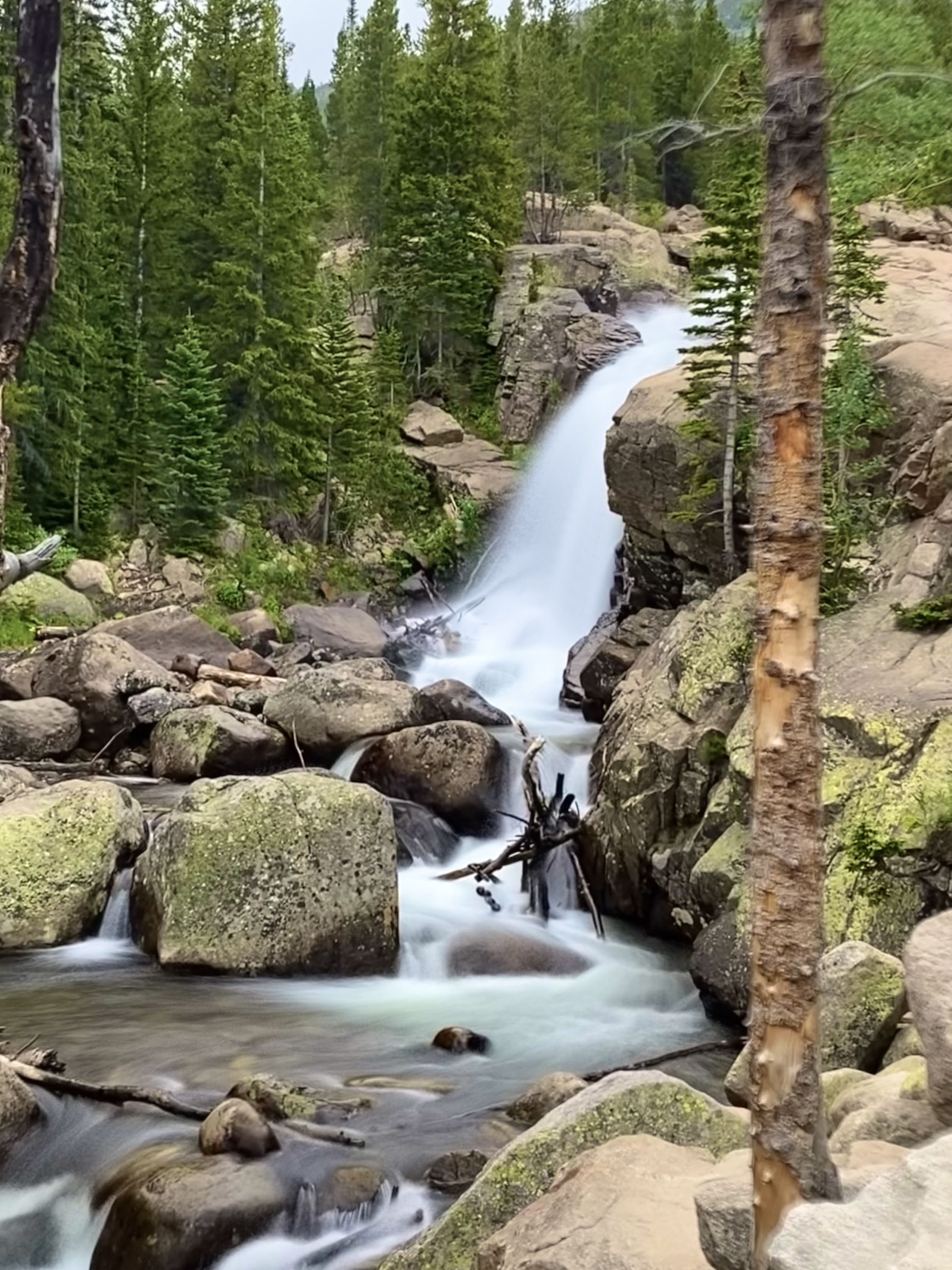 The BEST Hiking Trails in Rocky Mountain National Park for Kids – Road ...