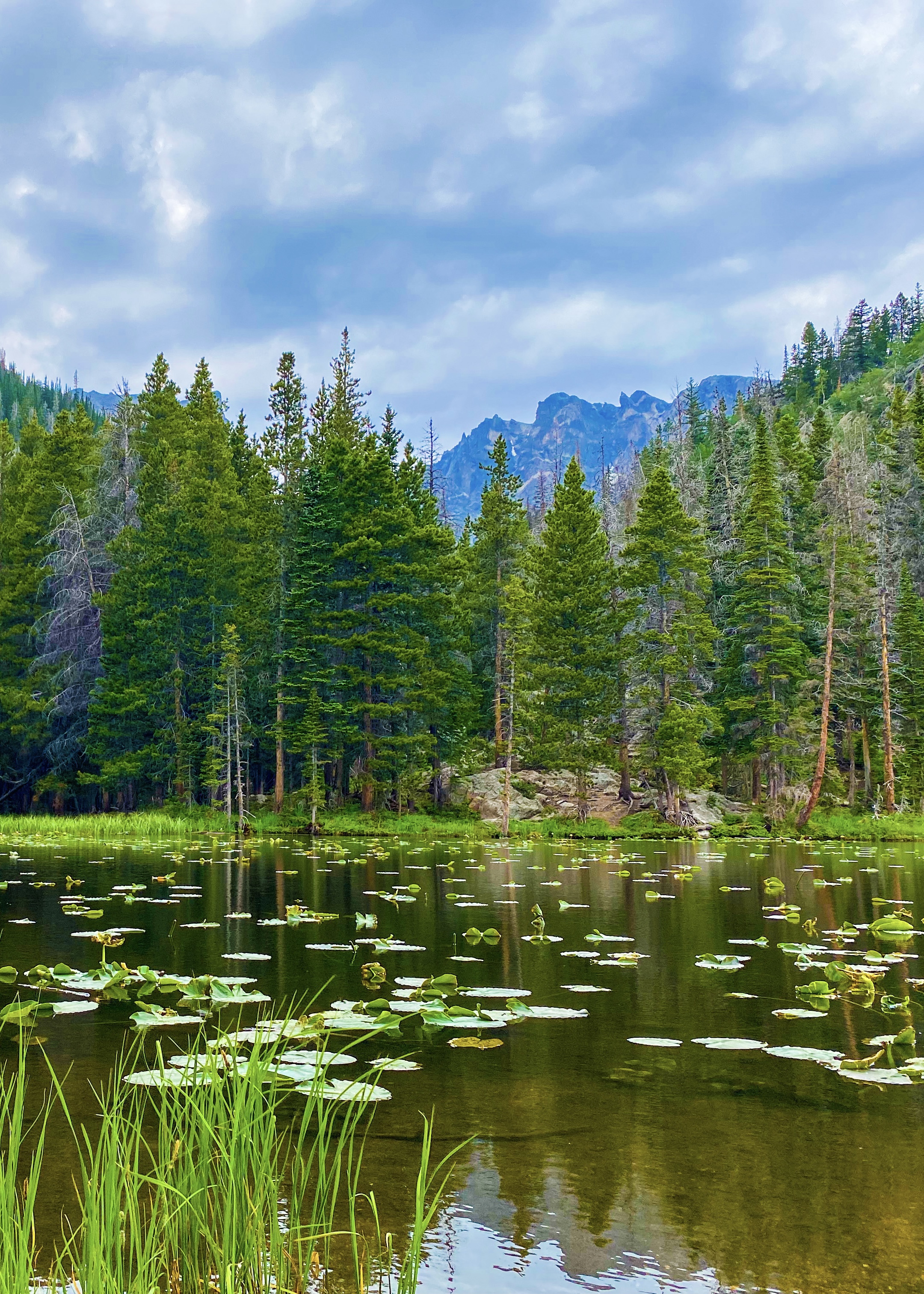 The BEST Hiking Trails in Rocky Mountain National Park for Kids – Road ...