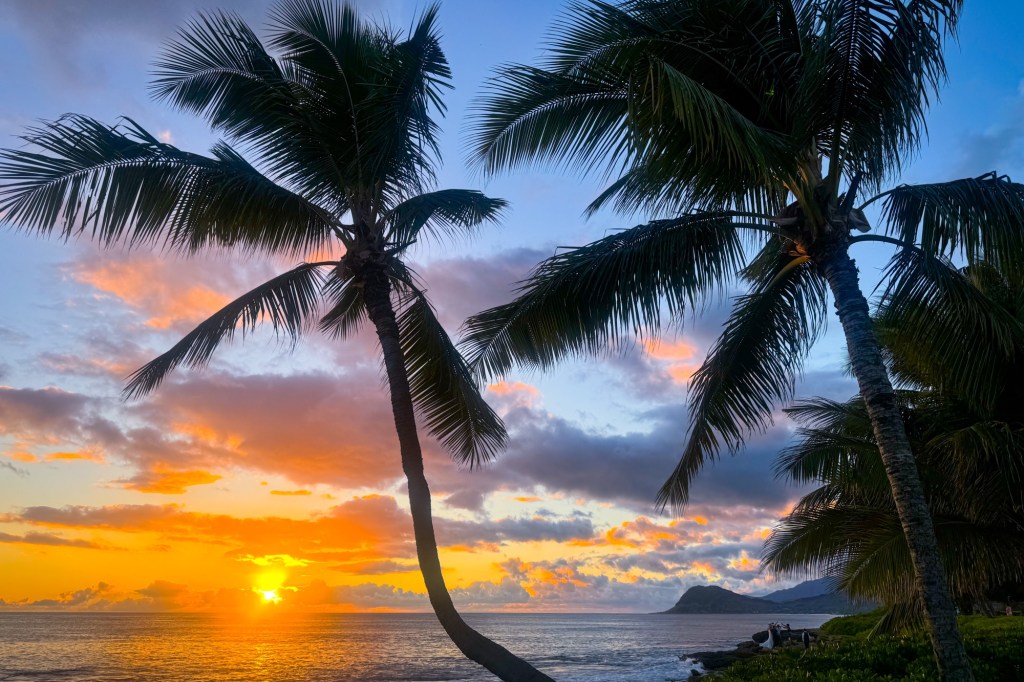 Oahu, Hawaii: Epic 8 Day Itinerary for Families – Road Trip Queen