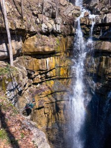 Explore the Beauty of Stephens Gap Callahan Cave Preserve – Road Trip Queen